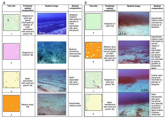 Benthic Habitat Mapping - RPM Nautical Foundation